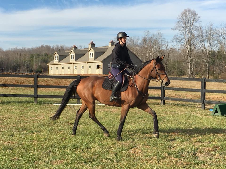 Tryon International Equestrian Center